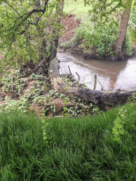 Gallery – Bollin and Birkin Flyfishers