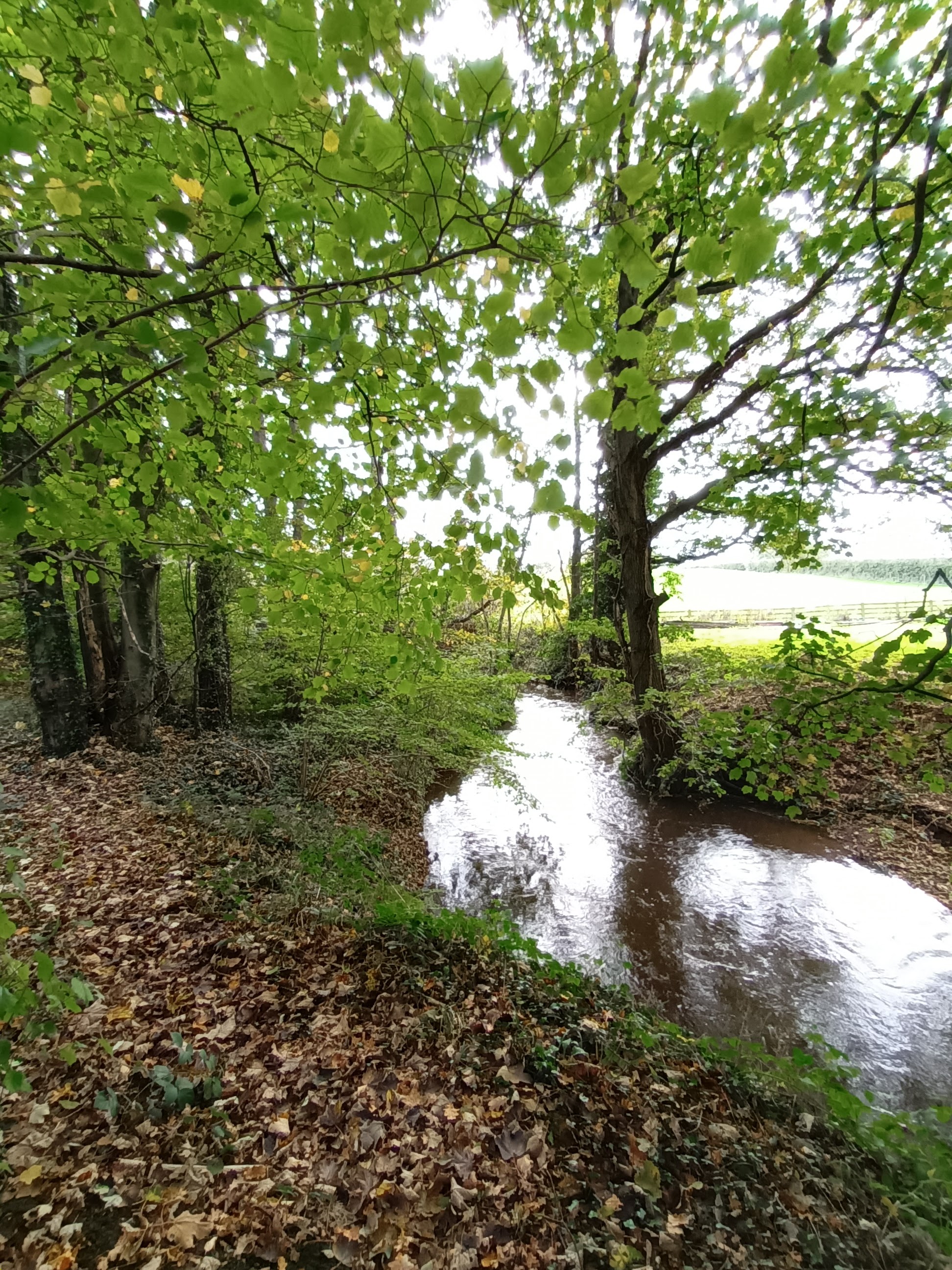 Gallery – Bollin and Birkin Flyfishers