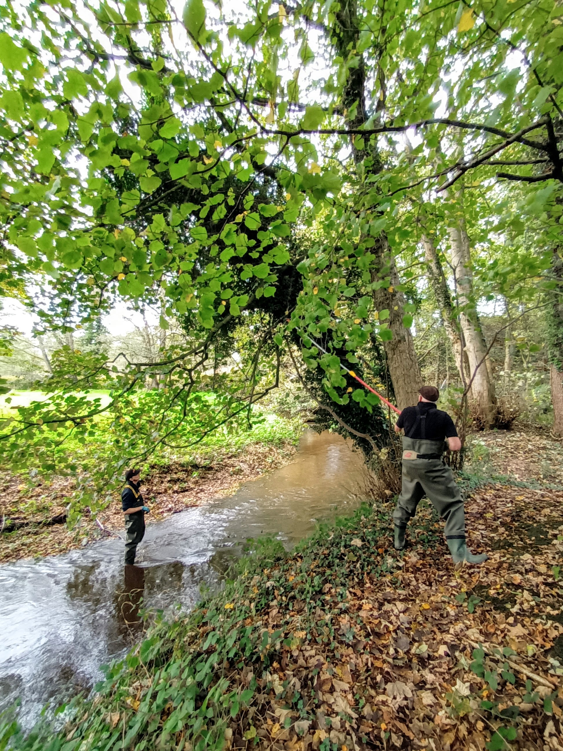 Gallery – Bollin and Birkin Flyfishers