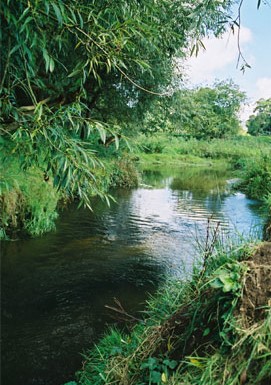 Gallery – Bollin and Birkin Flyfishers