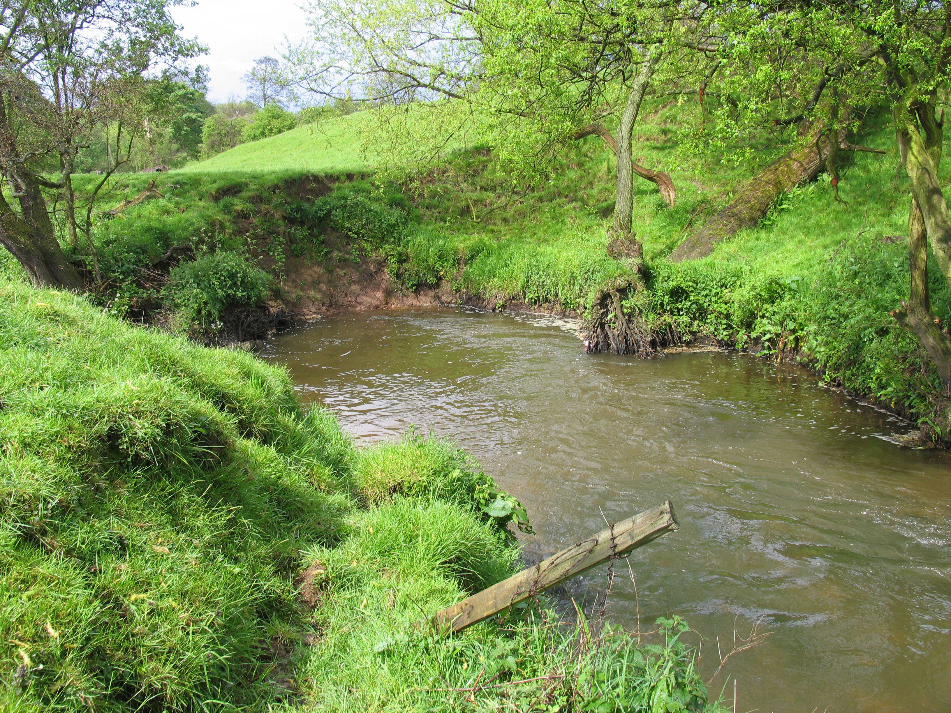 Gallery – Bollin and Birkin Flyfishers