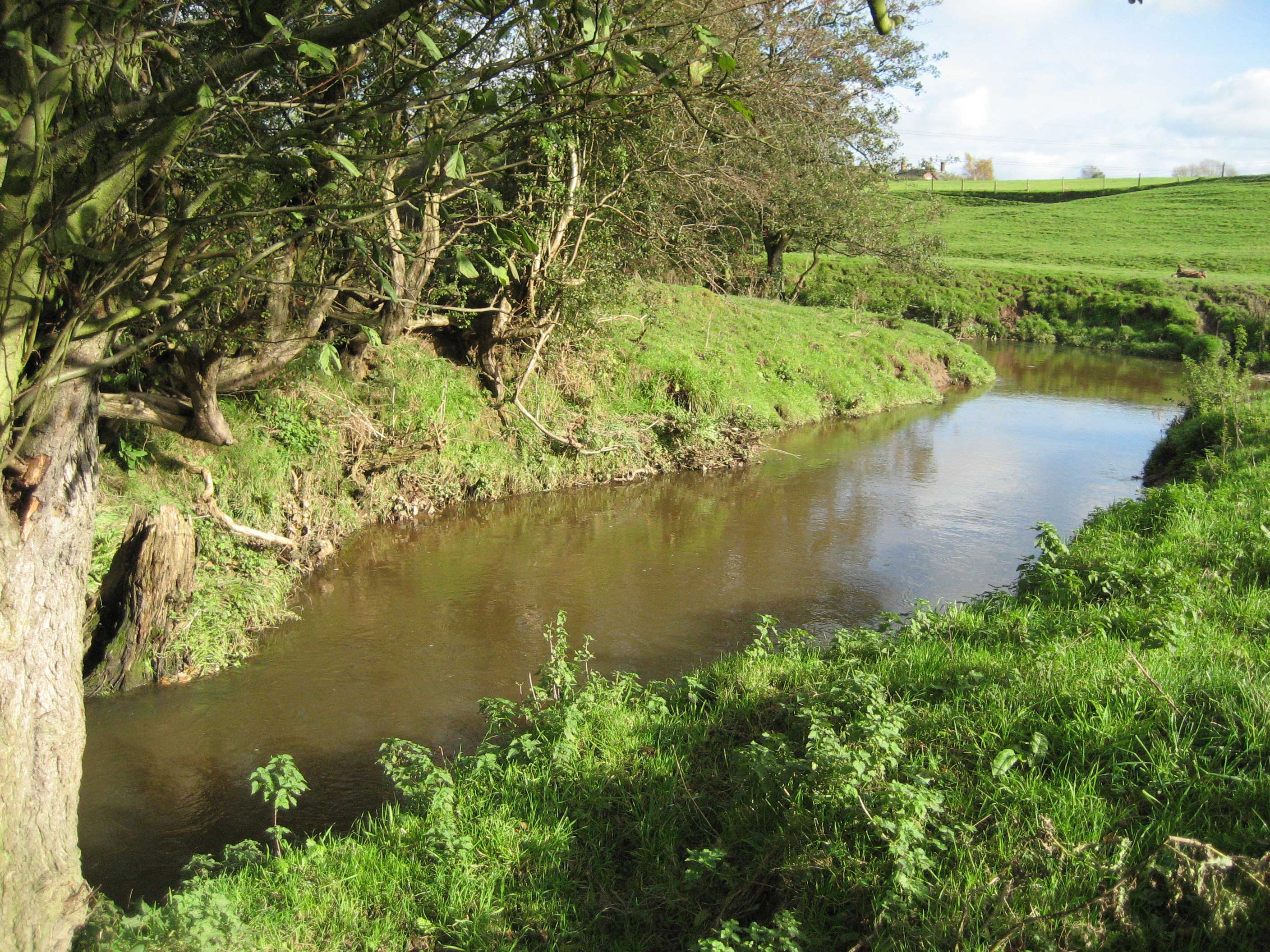 Gallery – Bollin and Birkin Flyfishers