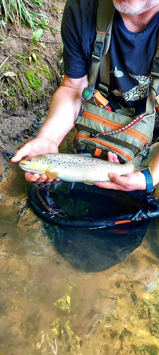 Gallery – Bollin and Birkin Flyfishers