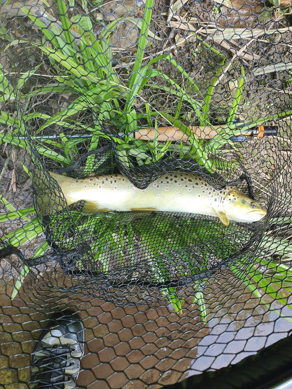 Gallery – Bollin and Birkin Flyfishers