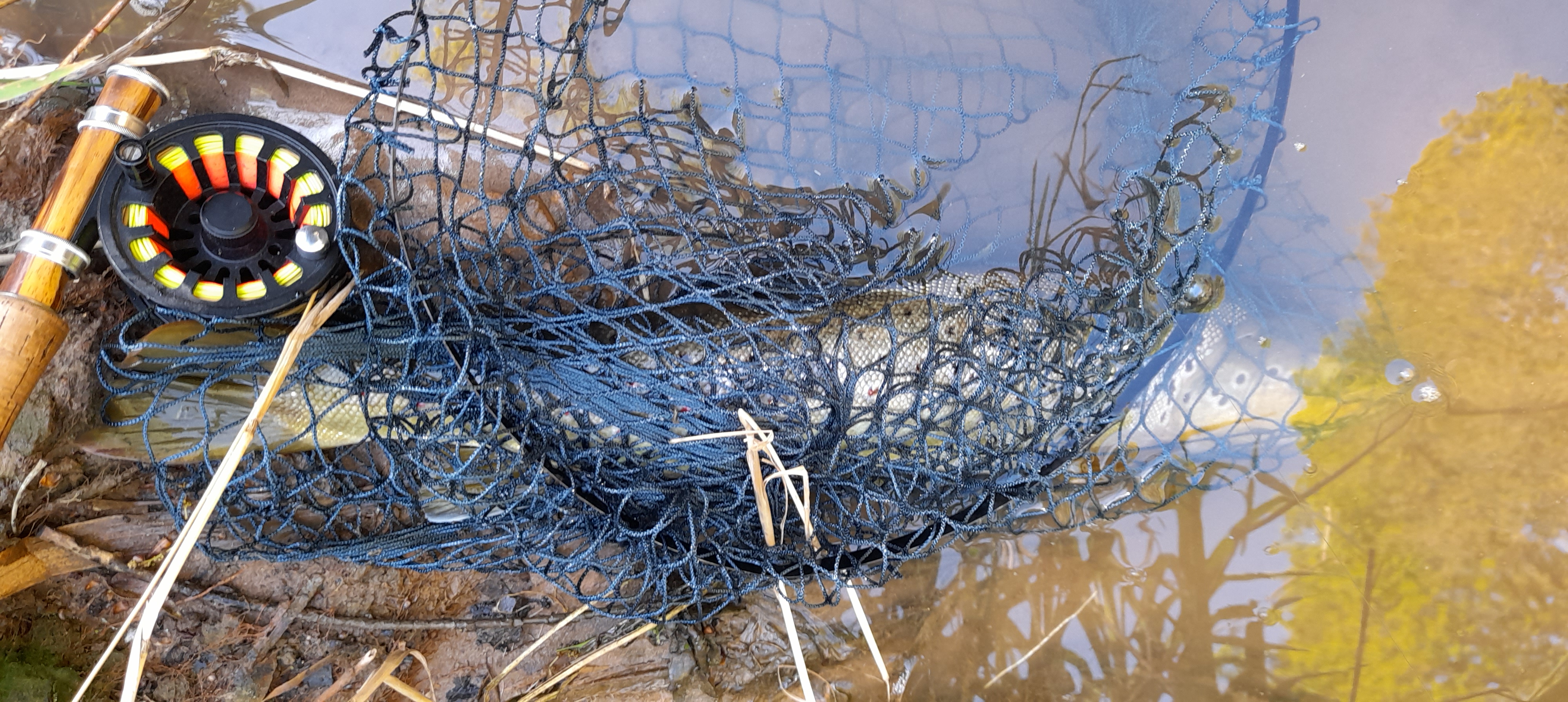 Gallery – Bollin and Birkin Flyfishers